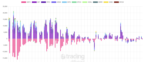 Trading Different - Liquidation Heatmap - BTC Supplier Model